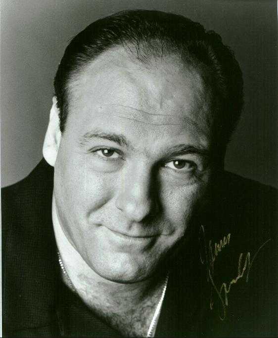 Muere James Gandolfini El Inolvidable Tony Soprano